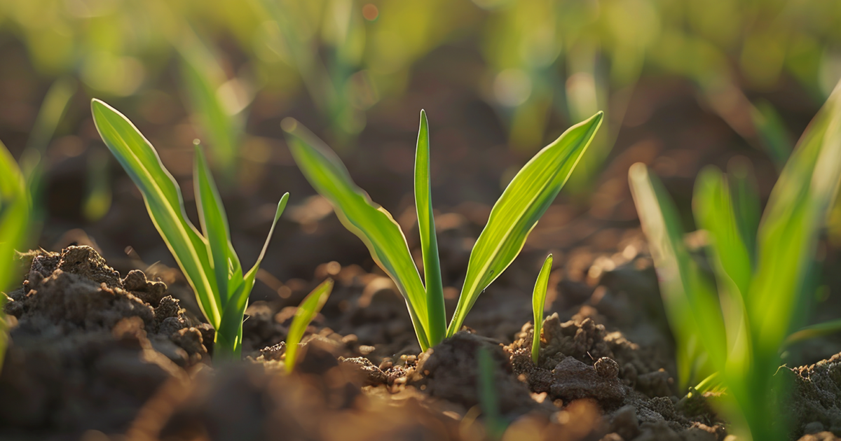 Talking Double Dispatch Raven Industries