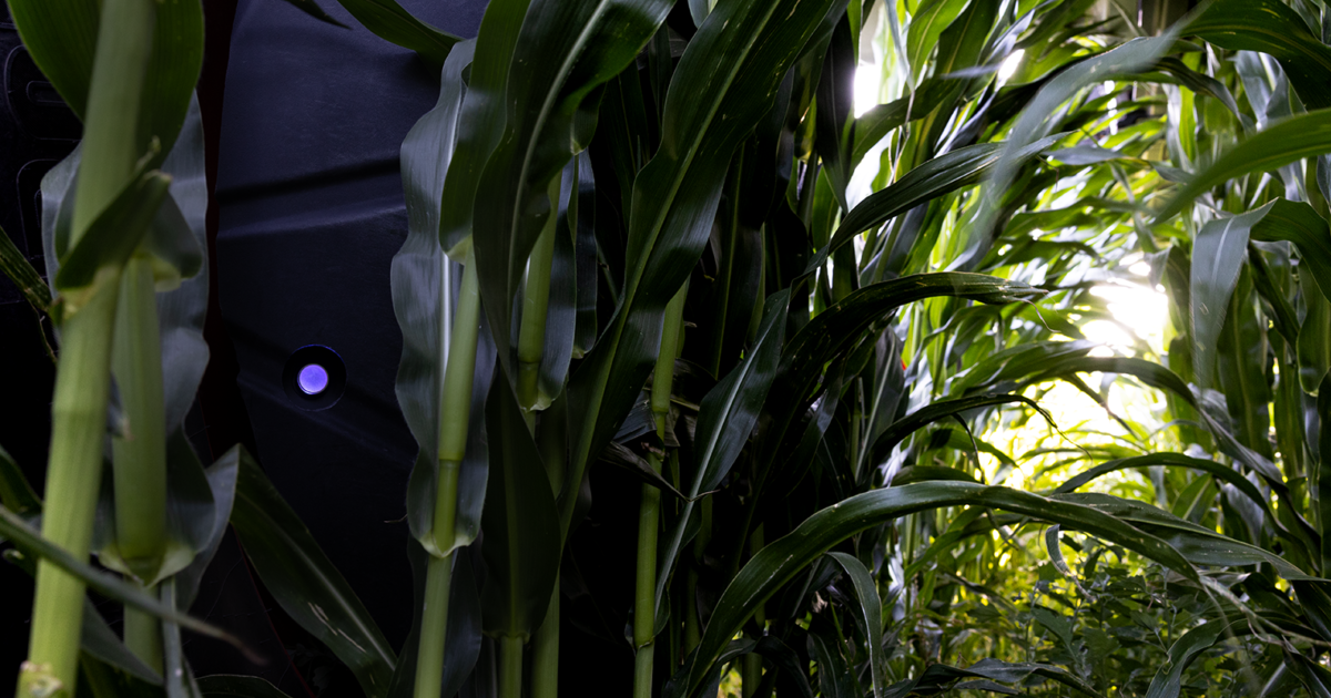 Using Raven Technology for Late-Season… | Raven Industries